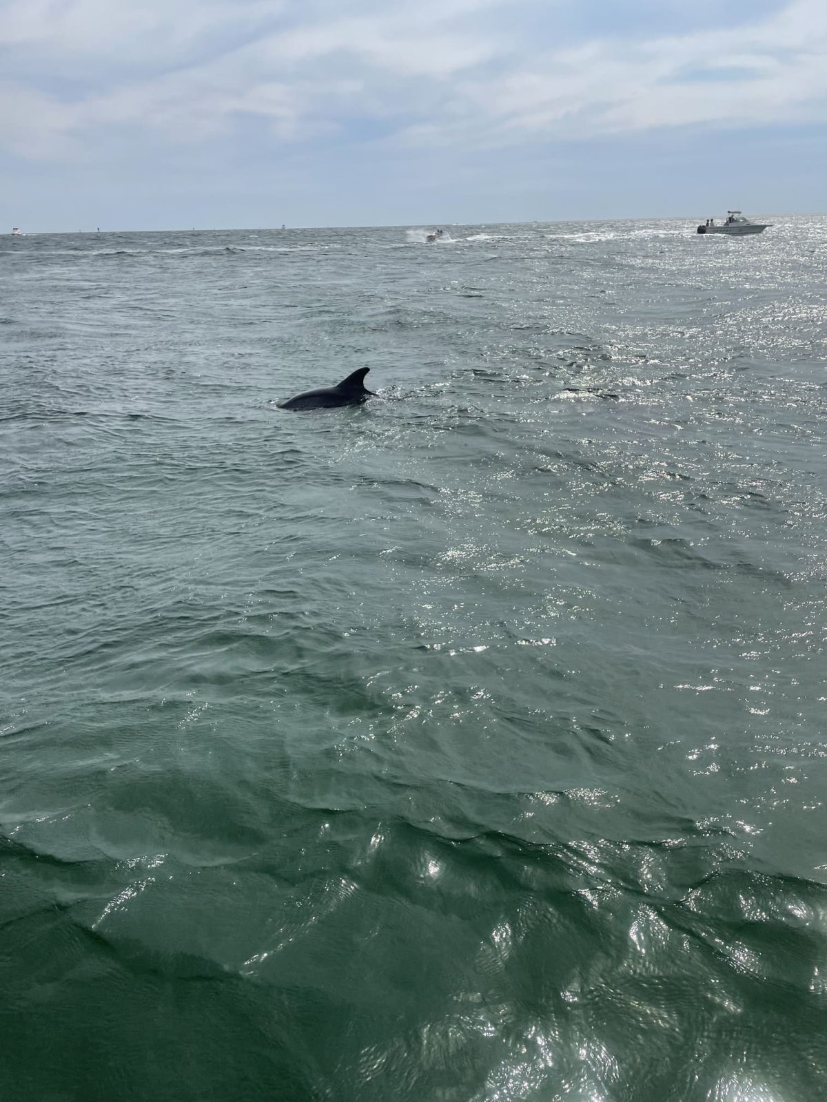 Shell Island Cruise - Into The Gulf